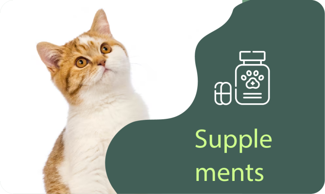 Veterina Group consists of companies – Animal comes First Support Your ...