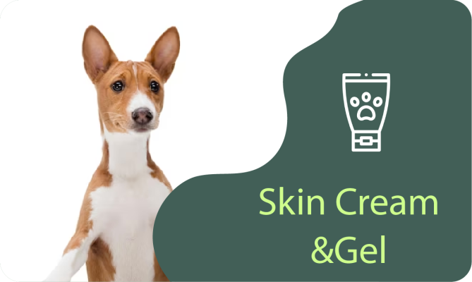 Veterina Group consists of companies – Animal comes First Support Your ...