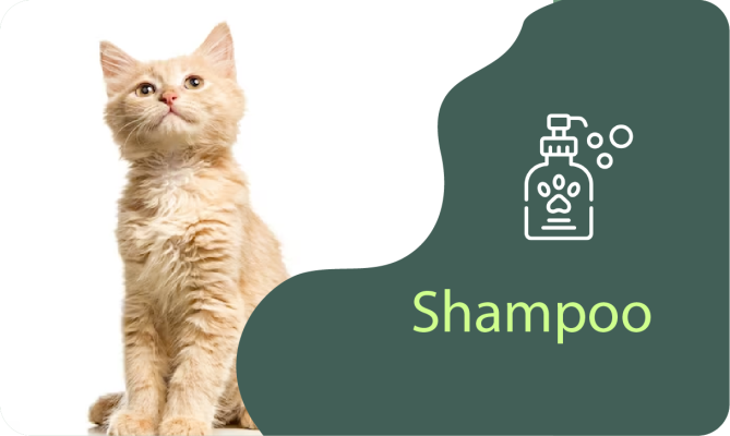 Veterina Group consists of companies – Animal comes First Support Your ...